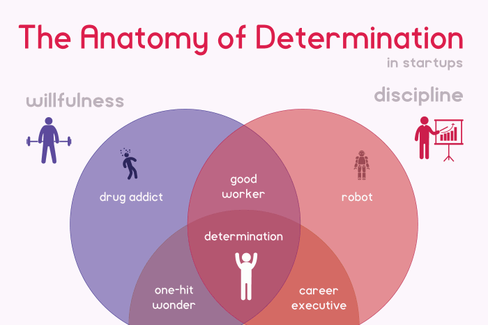 The Anatomy Of Determination In Startups - Infographic Chart